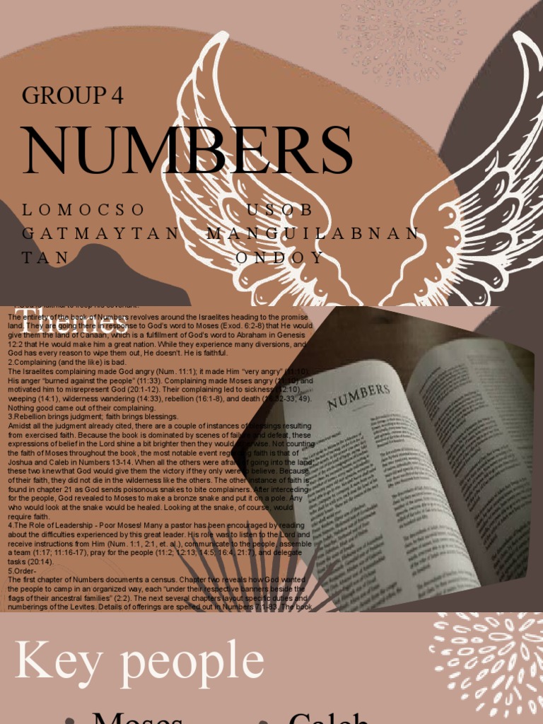 Numbers | PDF | Book Of Numbers | Aaron