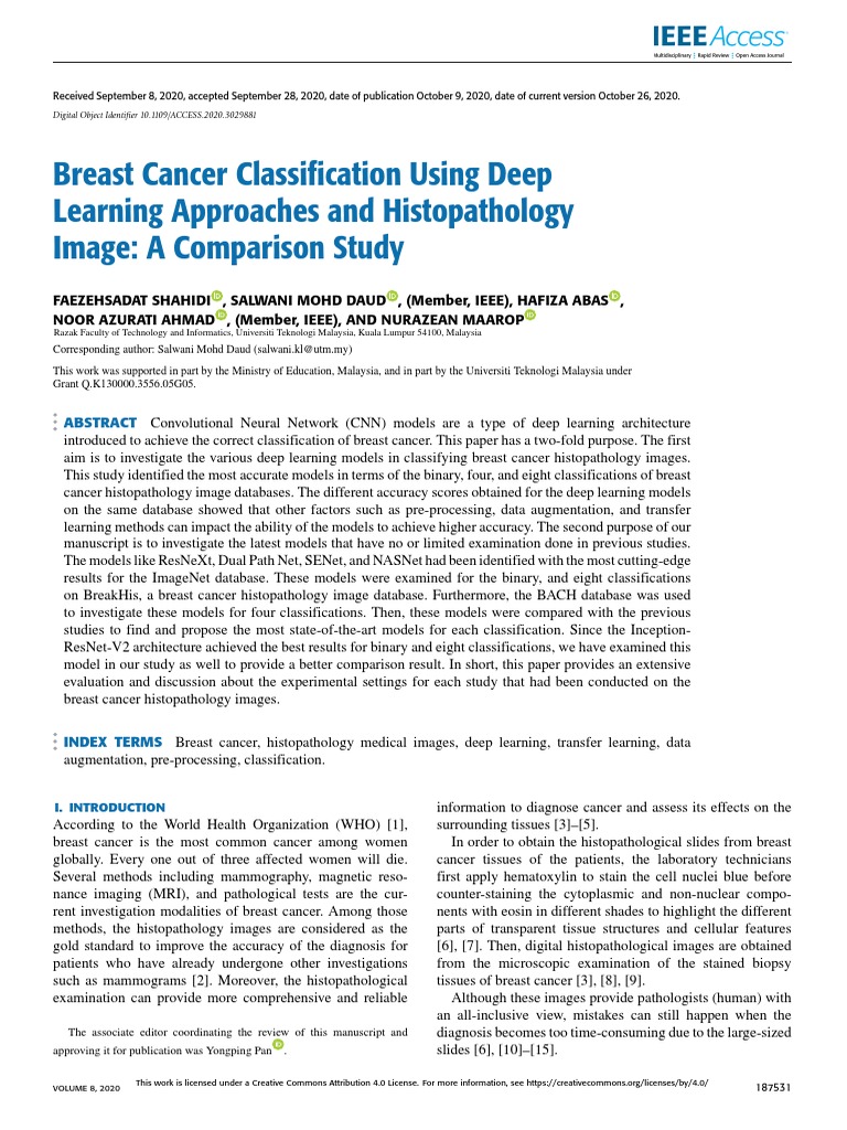 Breast Cancer Classification Using Deep Learning Approaches and ...