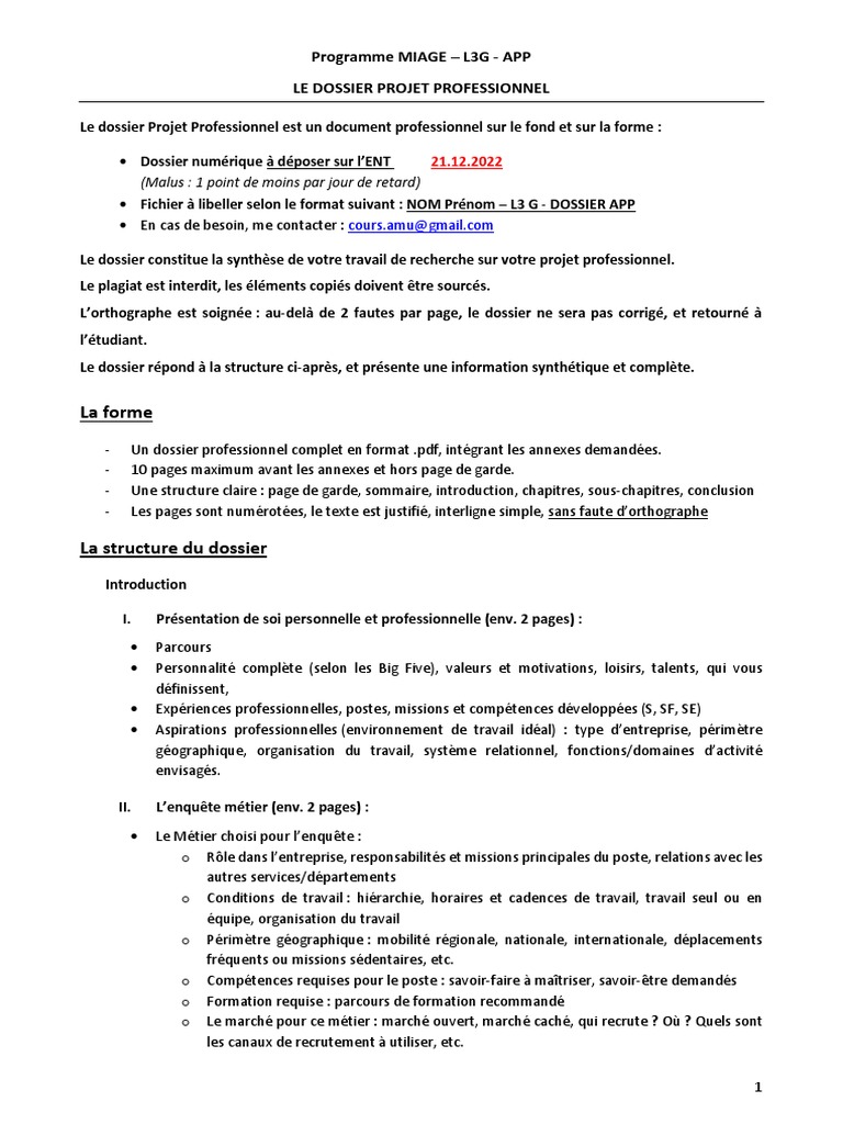 L3 MIAGE - Consignes Pour Le Dossier Projet Professionnel 2022 | PDF ...