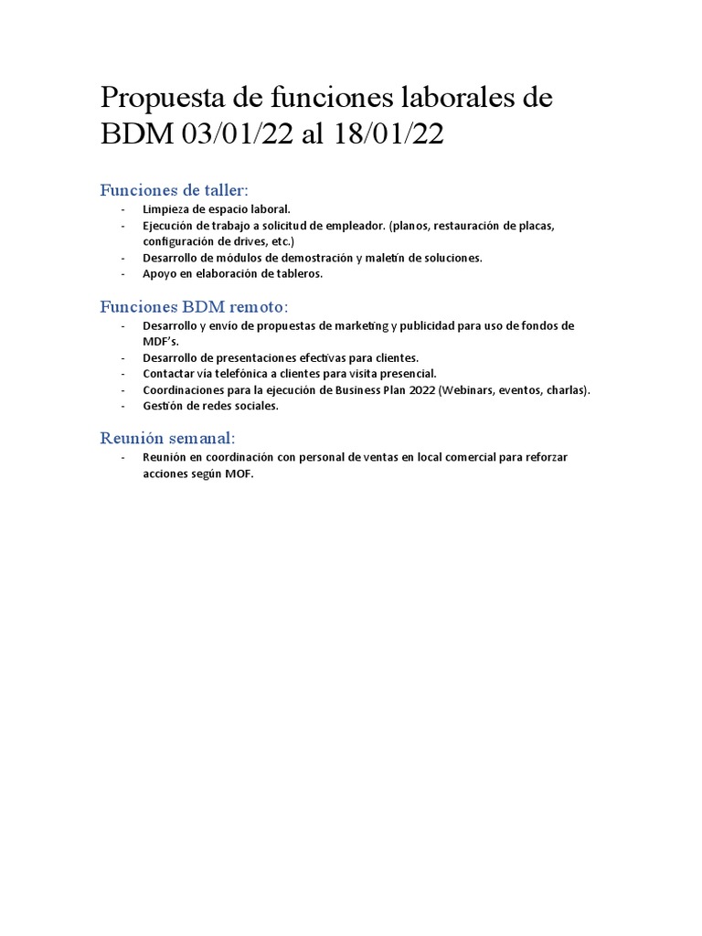 Propuesta de Funciones Laborales de BDM | PDF