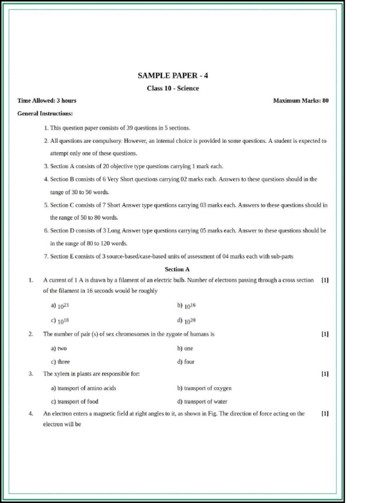 Test Paper | PDF