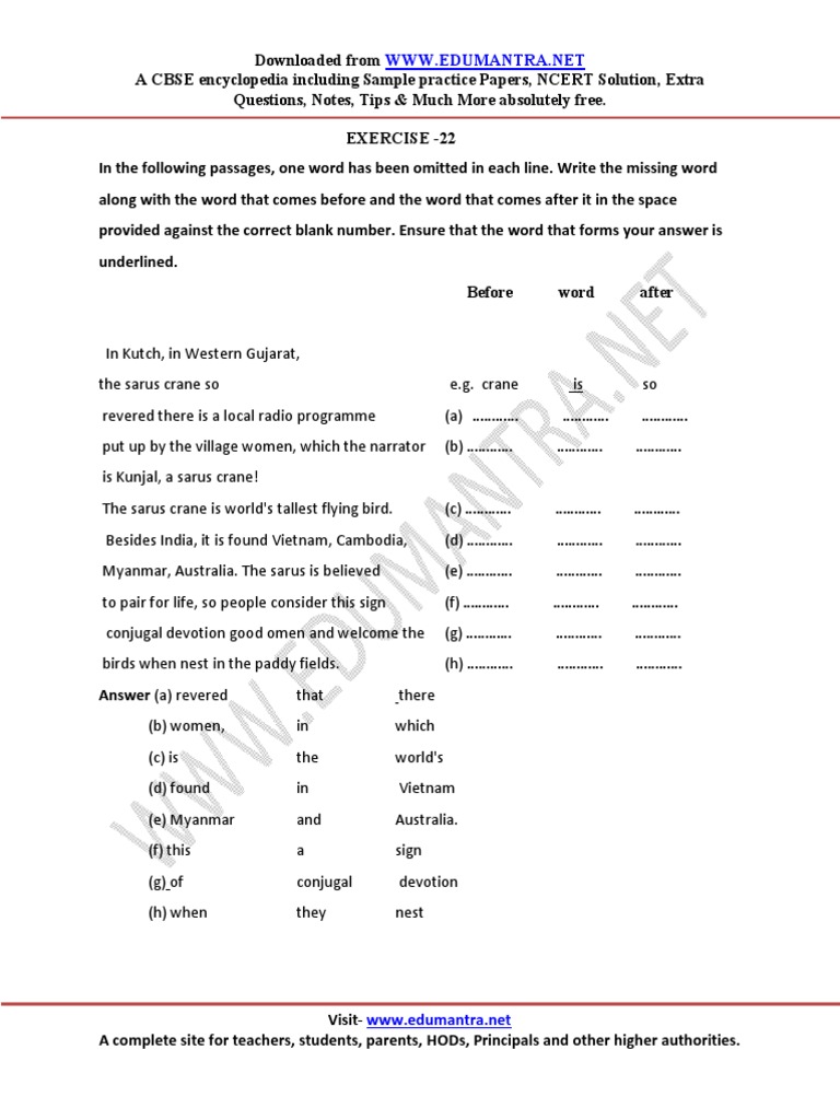 22 Omission Practice Exercise PDF | PDF