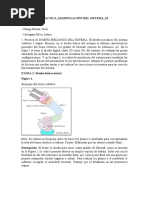 Brazo Robotico Simulacion Arduino | PDF