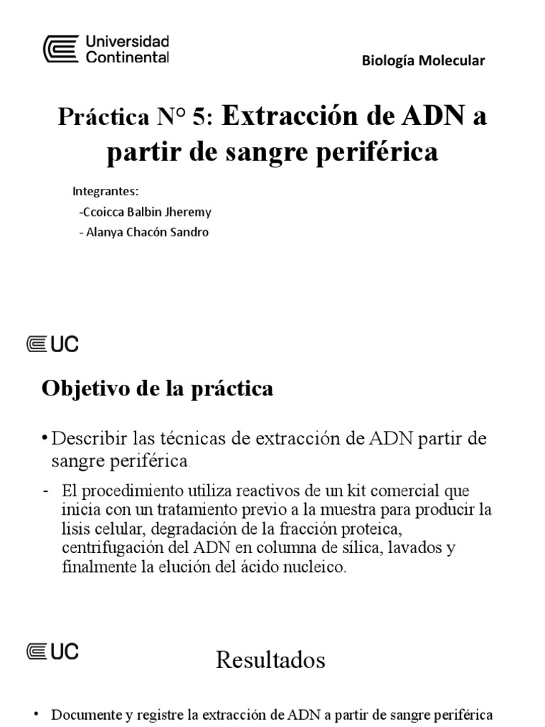 Plantilla Practica 4 Extracción de ADN | PDF | Adn | Ciencias fisicas