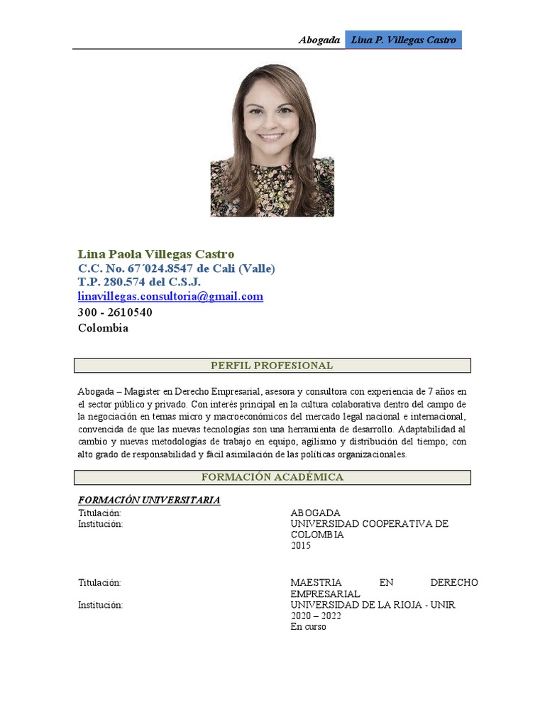 Perfil Profesional de Lina P. Villegas | PDF | Colombia