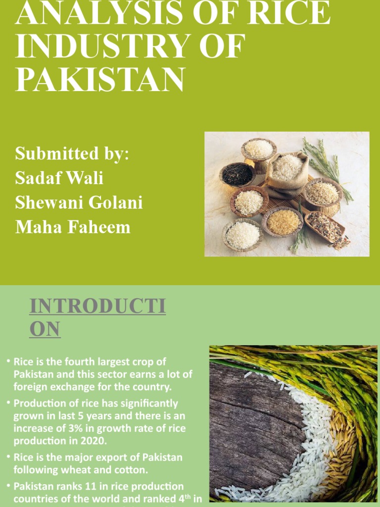 Analysis of Rice Industry | PDF | Rice | Subsidy