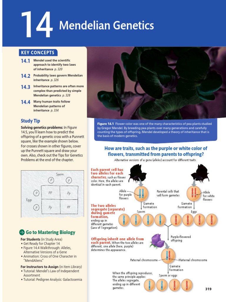 Campbell 2020 1 | Download Free PDF | Dominance (Genetics) | Zygosity