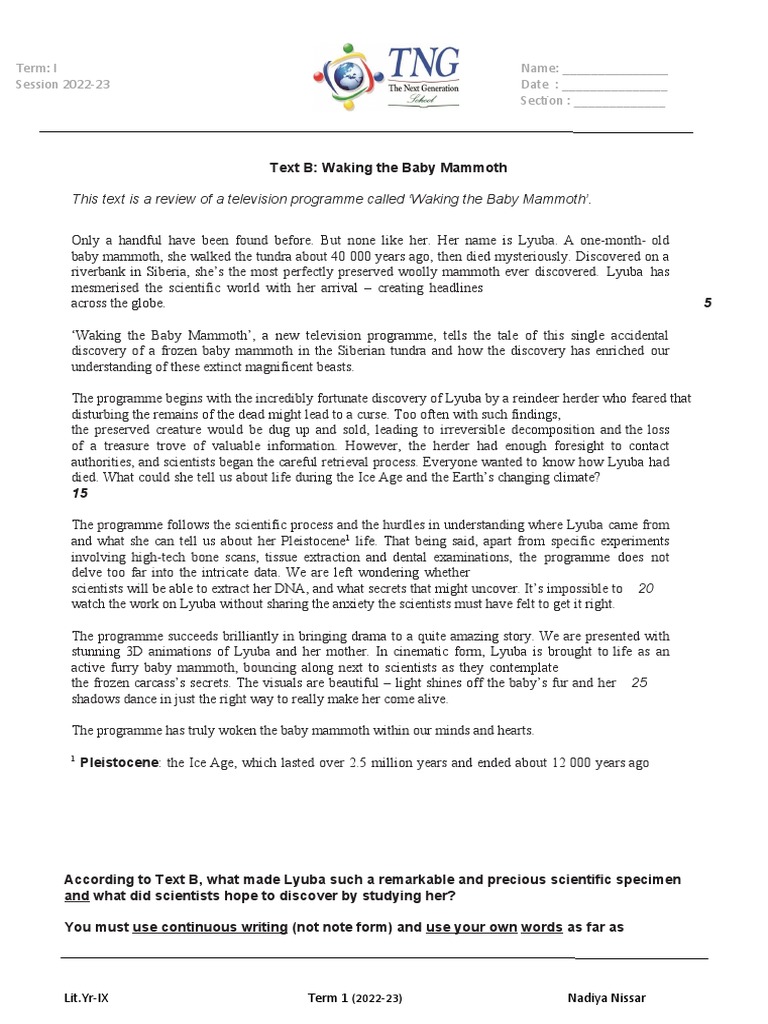 Summary Worksheet | PDF