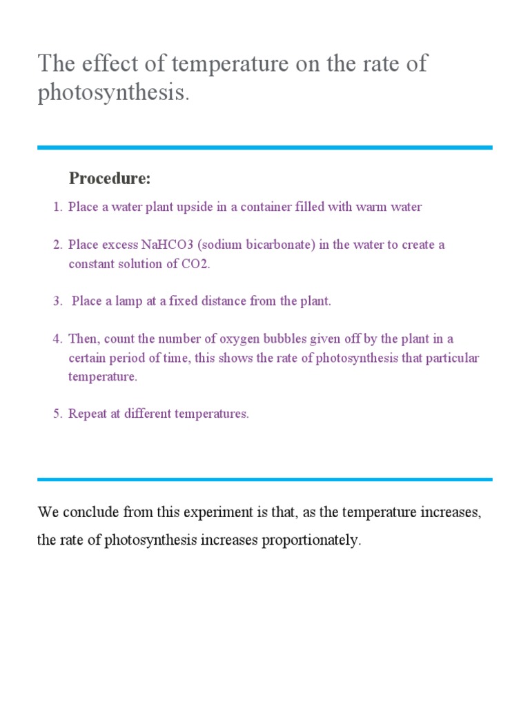 The Effect of Temperature On The Rate of Photosynthesis | PDF | Science ...