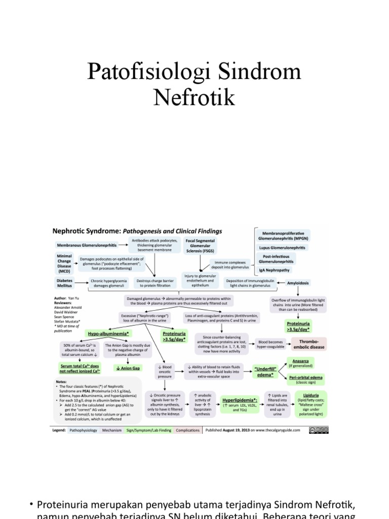 Patofisiologi Sindrom Nefrotik | PDF