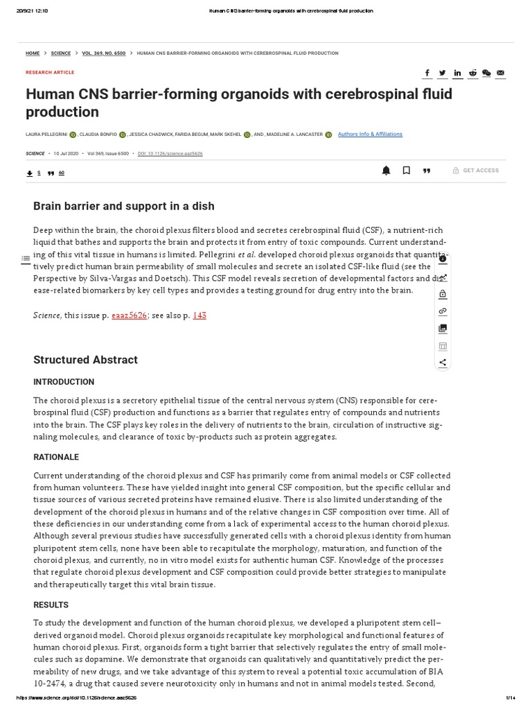 2 Human CNS Barrier-Forming Organoids With Cerebrospinal Fluid Production | Download Free PDF ...