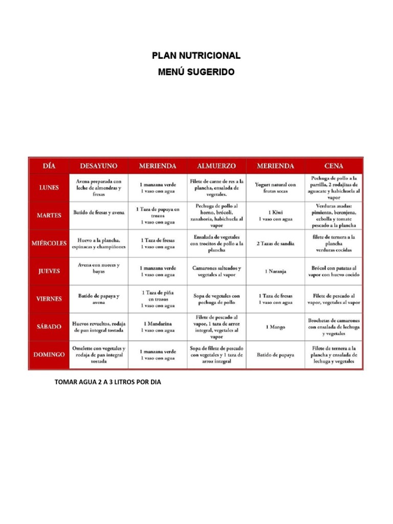 Plan Nutricional Pdf