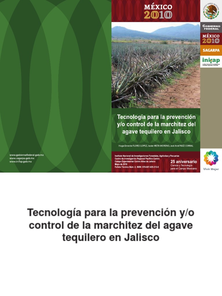 Tecnologia Agave Marchitez | PDF | Suelo | Agricultura