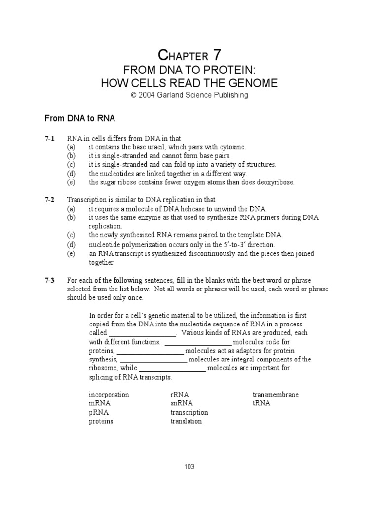 CH 7 Test Bank For Essential Cell Biology 3rd Edition Alberts | PDF ...