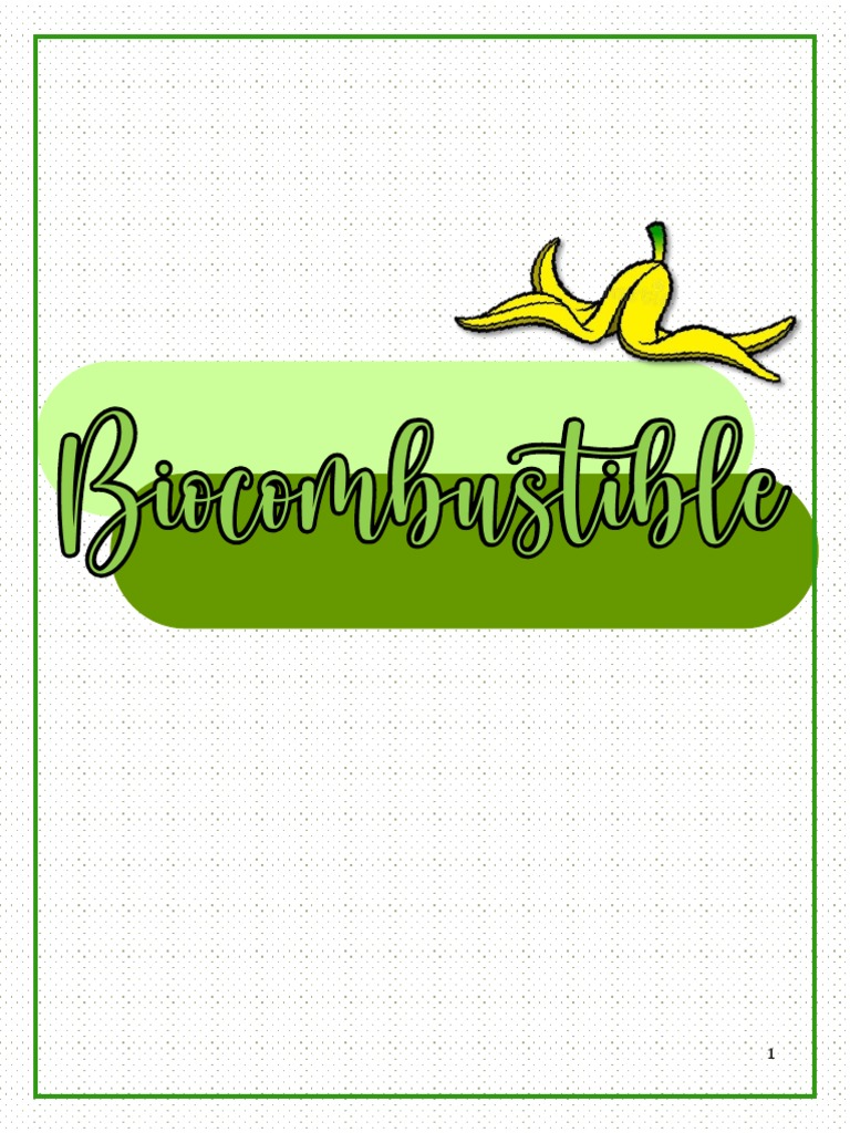 Bit A Cora Final | PDF | Biocombustible | Naturaleza