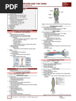 EMRA SportsMedicine Splint Guide | PDF | Thumb | Hand