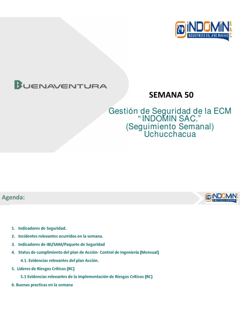 Reporte Semana 51. E.E INDOMIN 1 | PDF