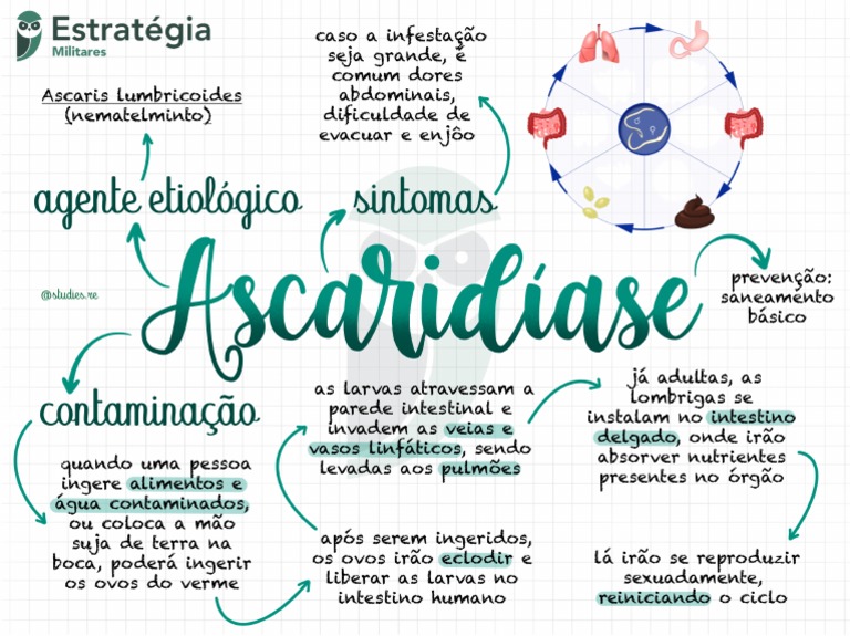 Mapa Mental - Ascaridíase - Biologia | PDF