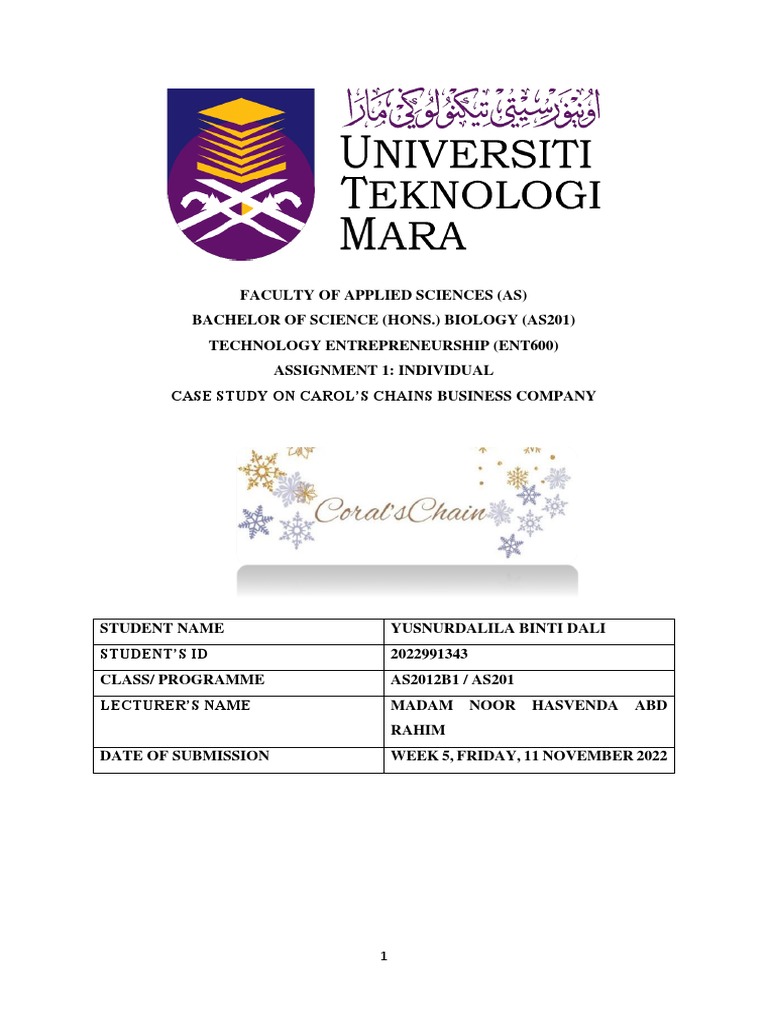 ENT600 Individual Case Study | PDF | Marketing | Social Media