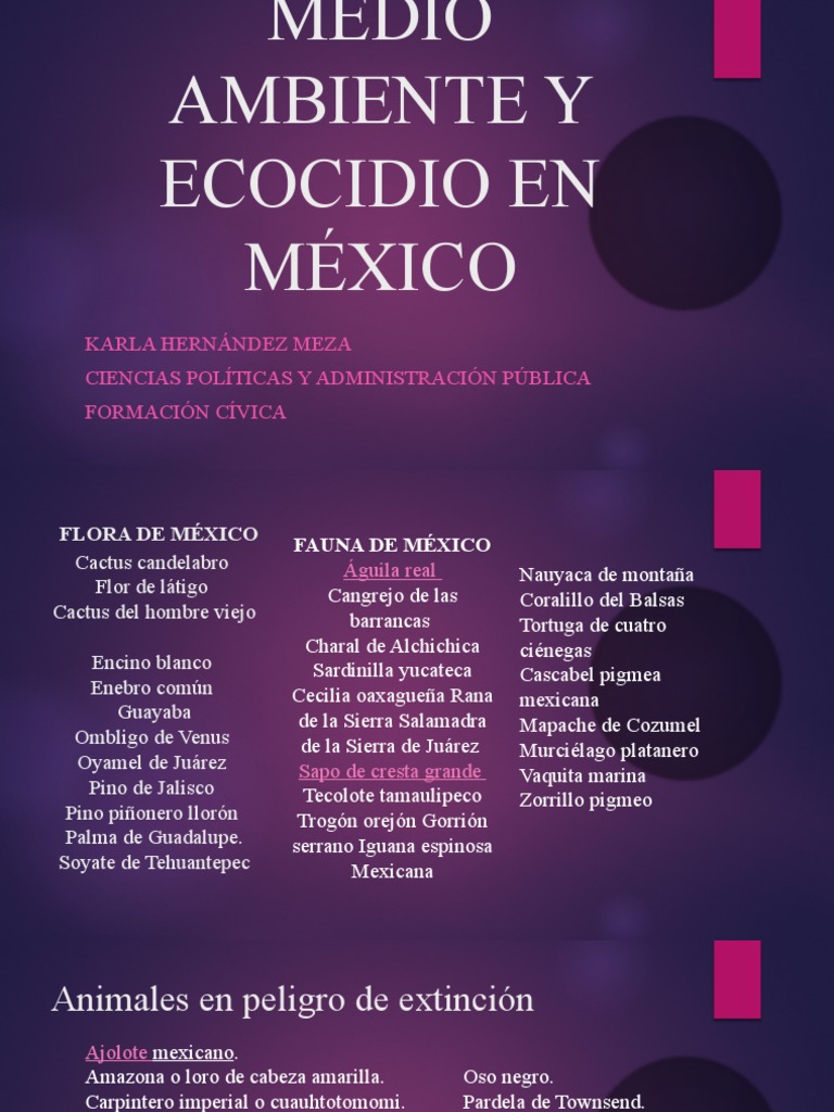 Medio Ambiente y Ecocidio en México | PDF | Destrucción del habitát ...
