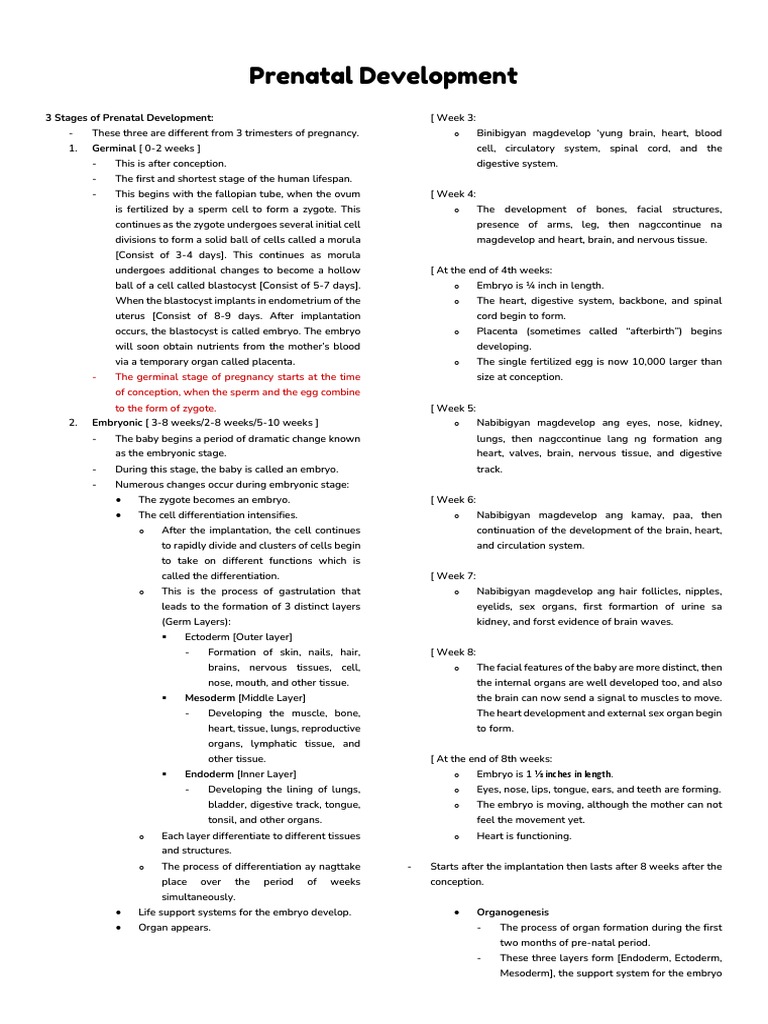 Prenatal Development | PDF | Prenatal Development | Embryo
