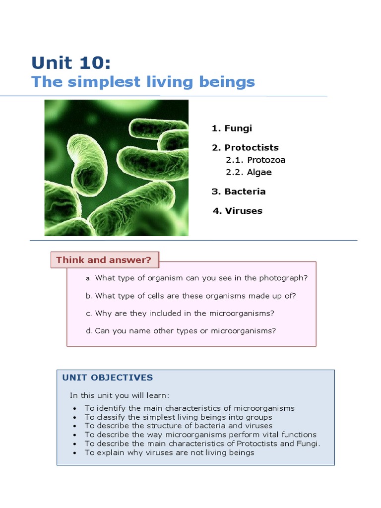 Simplest Living Organisms Explained | PDF | Virus | Fungus