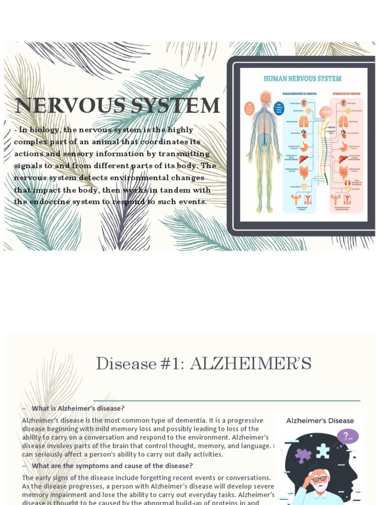 Nervous System Diseases | PDF | Alzheimer's Disease | Epilepsy