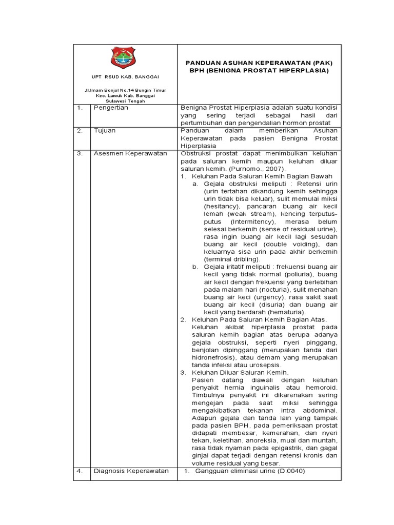 BPH (Benigna Prostat Hiperplasia) | PDF