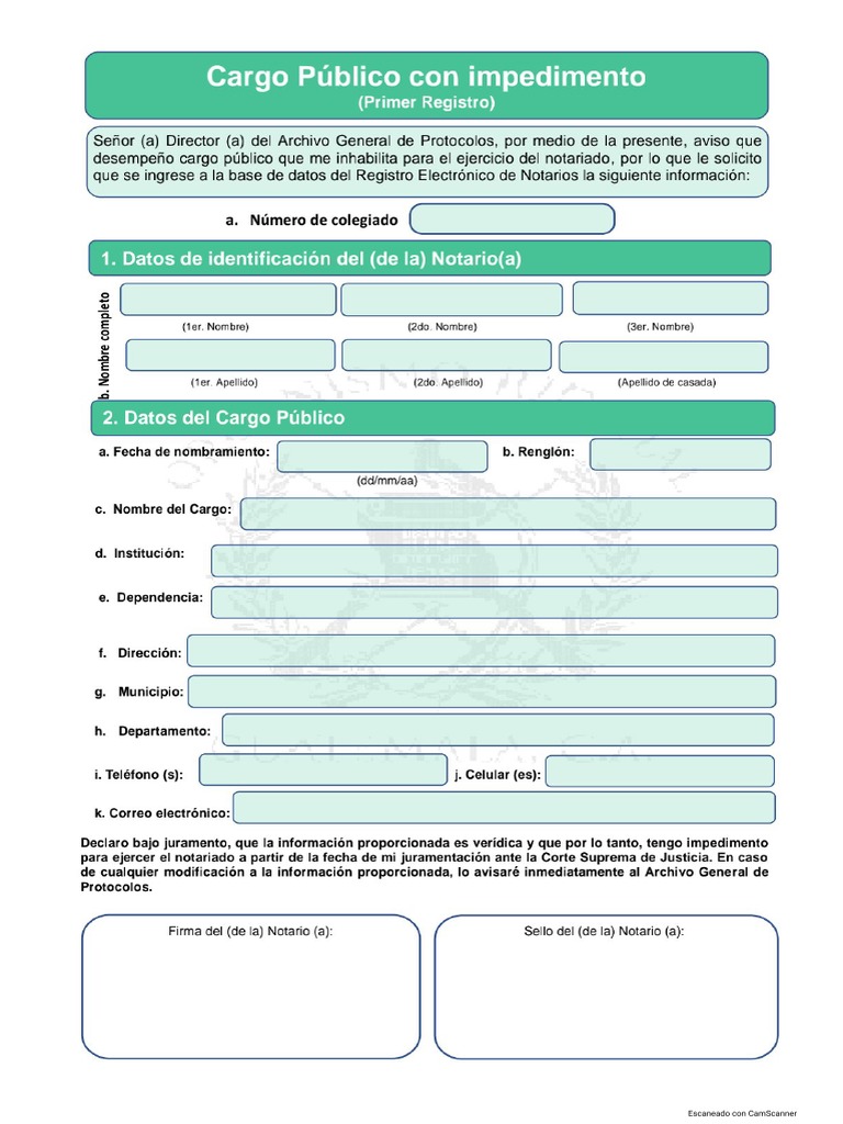 Formulario de Cargo Publico Primera Inscripcion | PDF