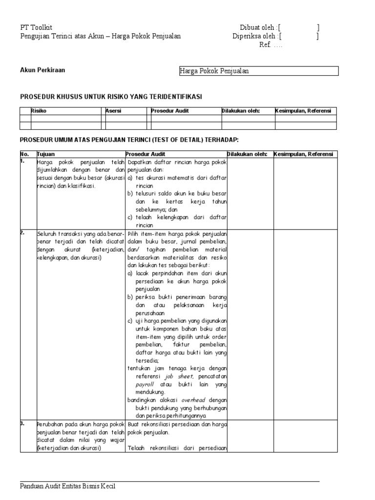 HPP - Model Audit Program | PDF