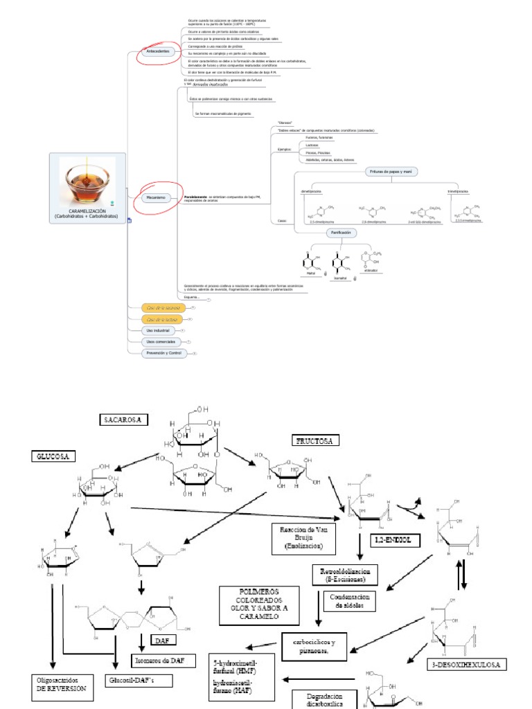 Caramelización | PDF | Caramelo | Carbohidratos