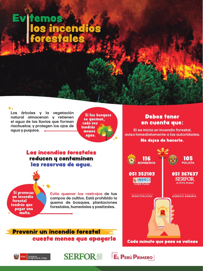 Afiches Incendios Forestales - CURVAS | PDF