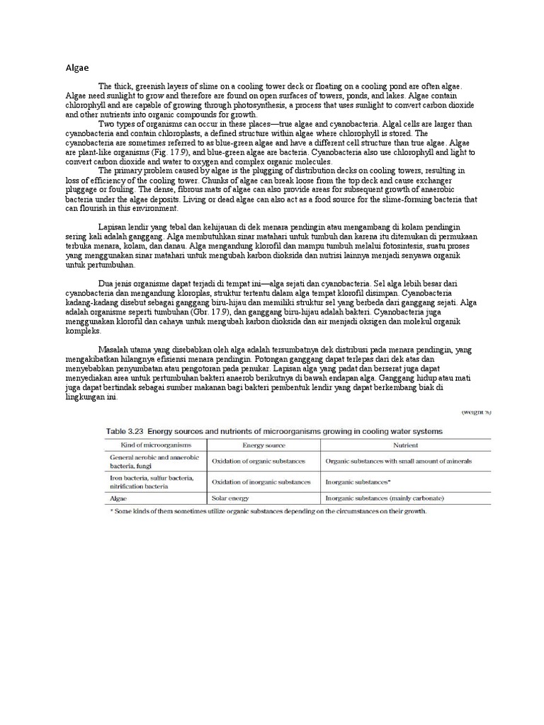 Algae | PDF