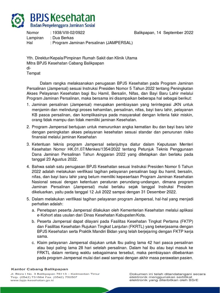 Program Jaminan Persalinan (JAMPERSAL) | PDF