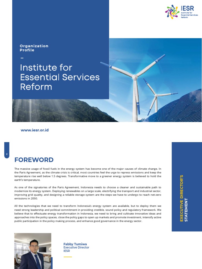IESR Profile 2021 | PDF | Low Carbon Economy | Sustainable Energy