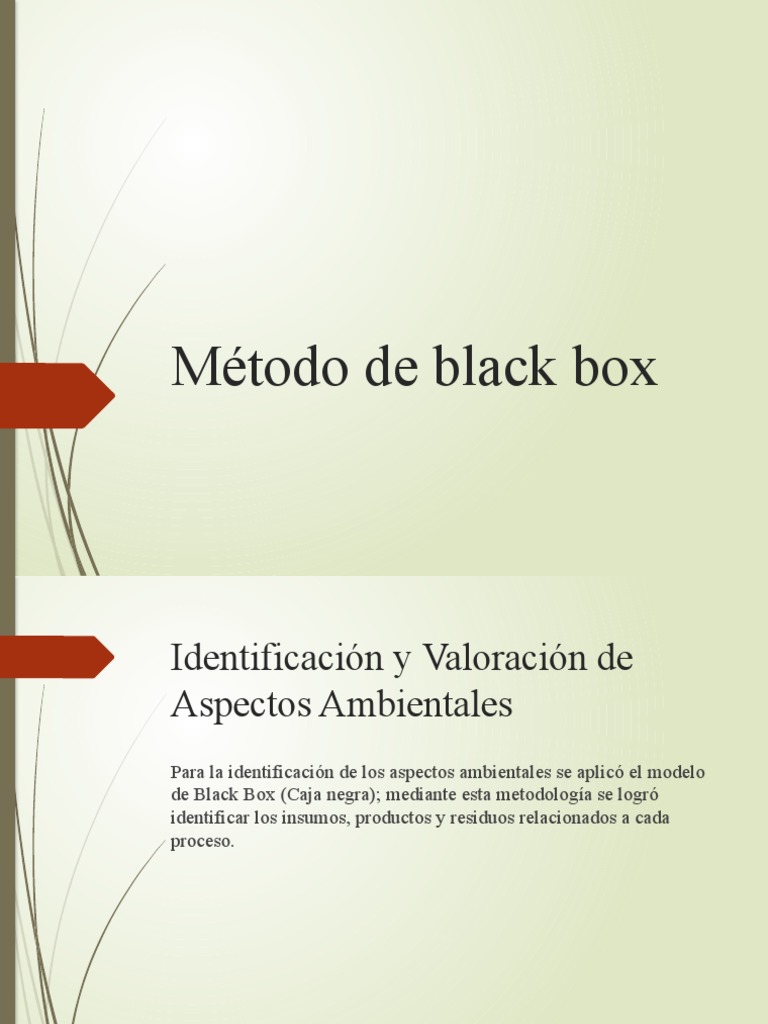 Método de Black Box | PDF | Riesgo | Entorno natural