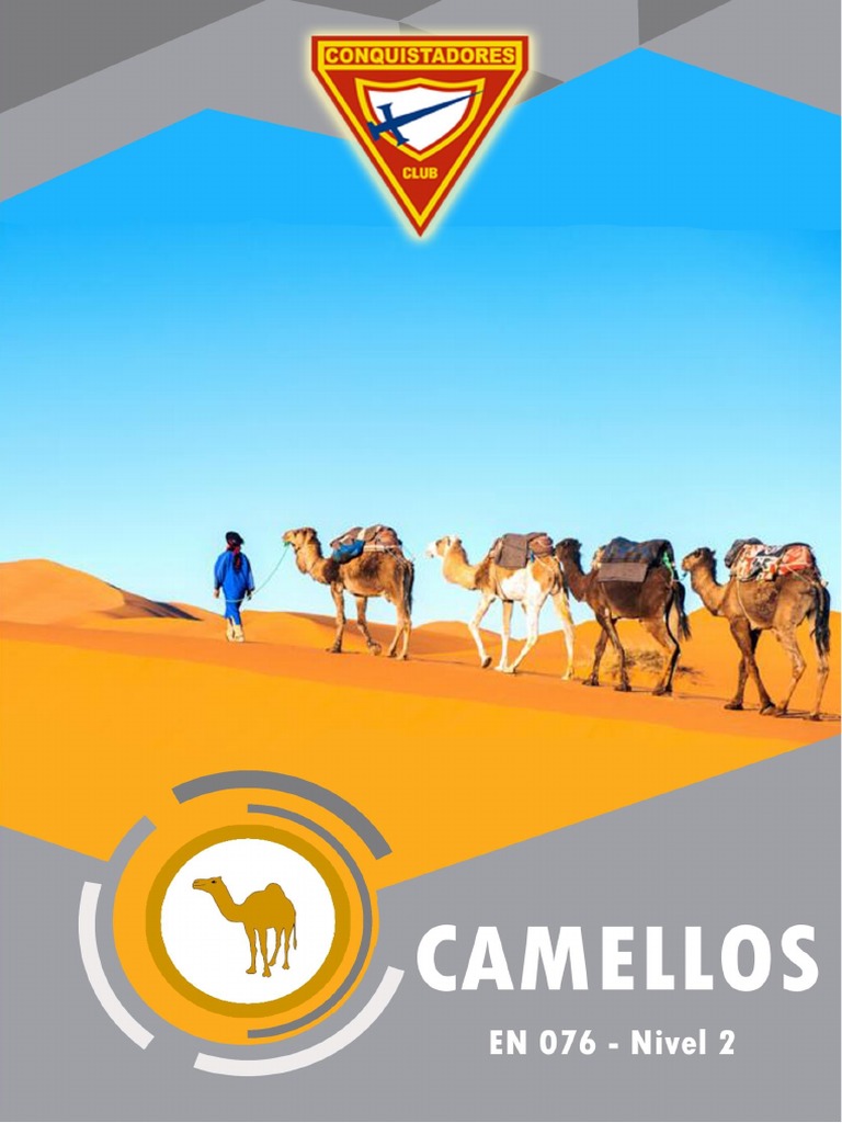 Camellos: Características y Especies | PDF | Camello | Animales ...