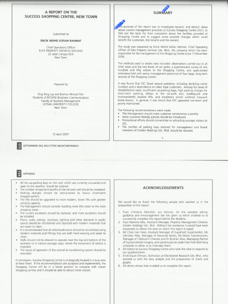 Sample Business Report | PDF