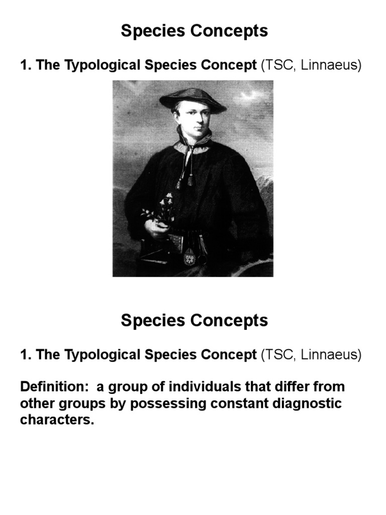 Species Concepts | PDF | Species | Biology
