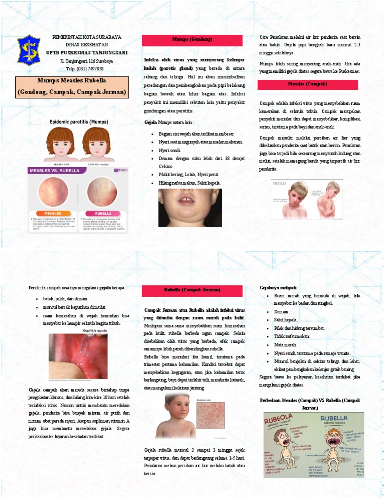 Leaflet MMR | PDF