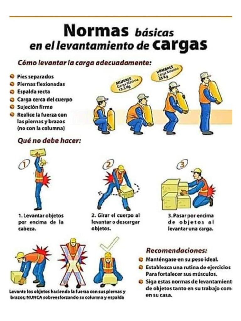Levantamiento de Cargas | PDF Levantamiento de Cargas | PDF