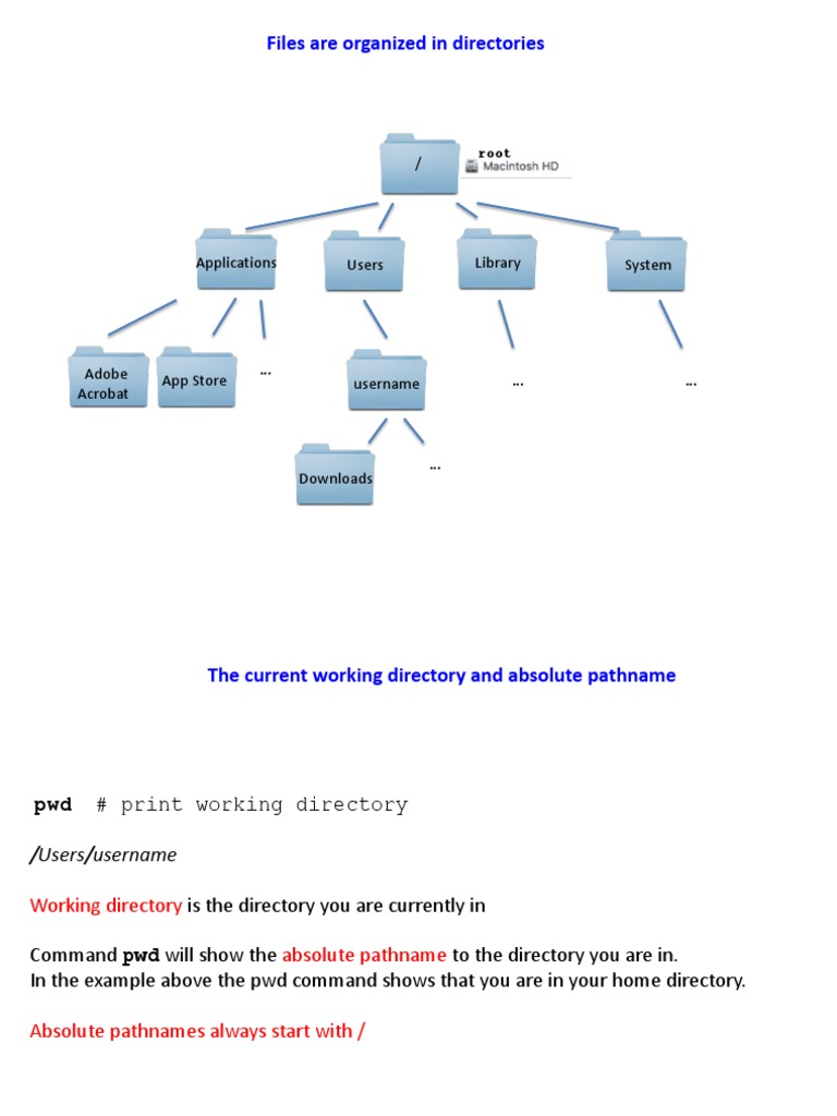 Lecture 3 Part1 | PDF | User (Computing) | Directory (Computing) Lecture 3 Part1 | PDF | User (Computing) | Directory (Computing)