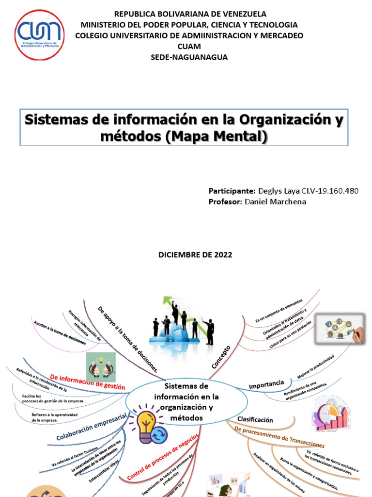 Mapa Mental Sistemas de Informacion | PDF