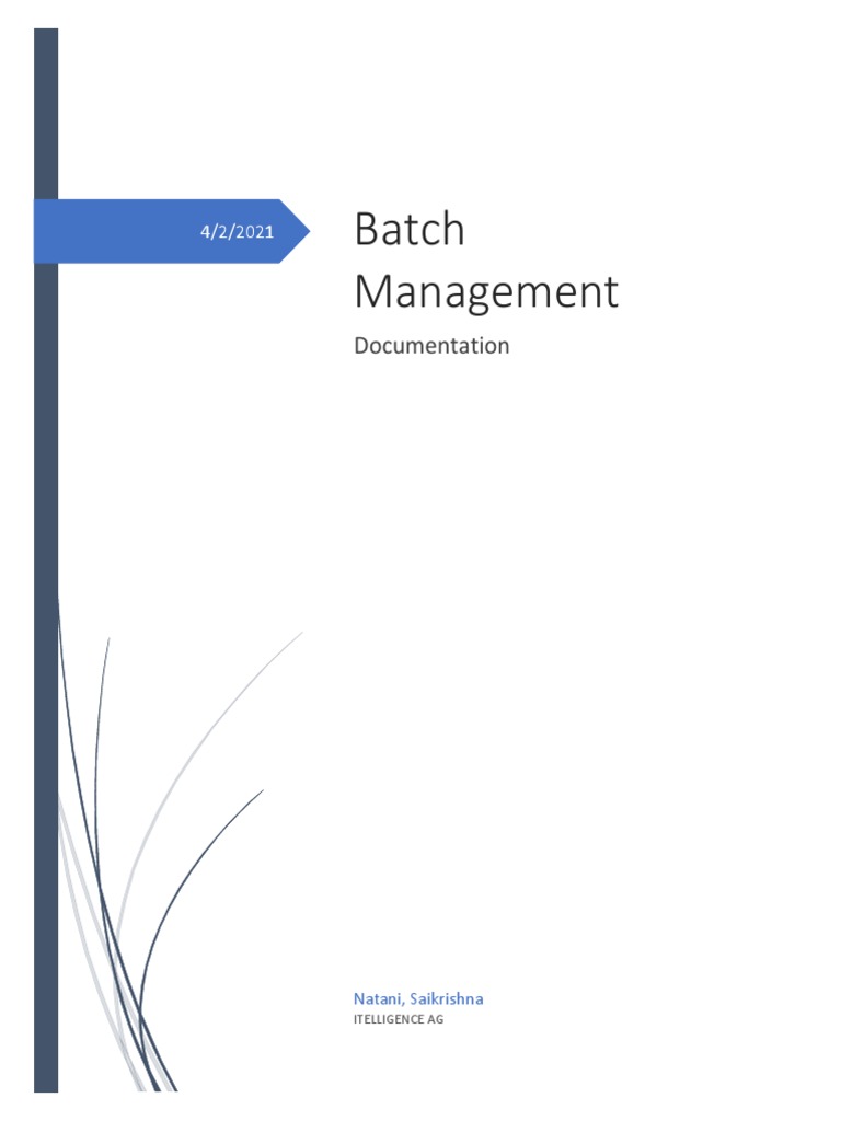 Batch Management | PDF | Information Technology | Business