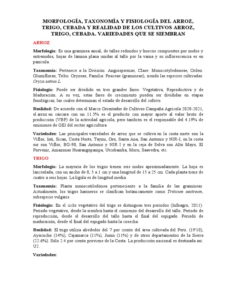 Morfología, Taxonomía y Fisiología Del Del Arroz, Trigo y Realidad de Los Cultivos Arroz, Trigo ...