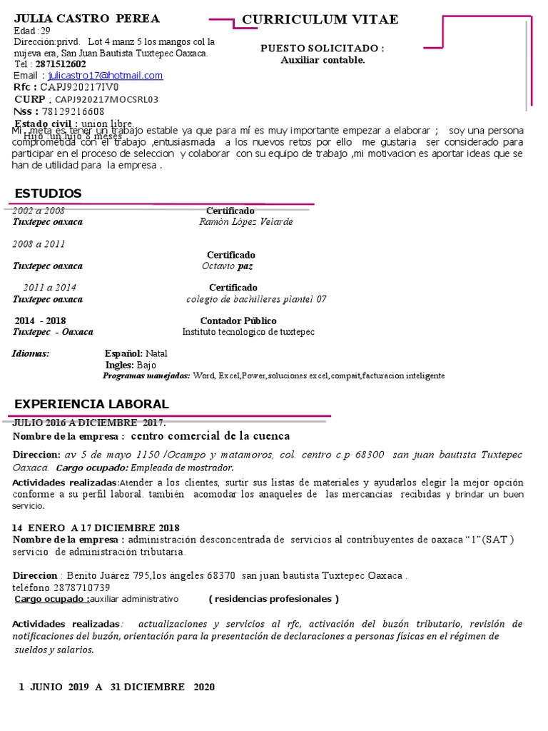 Curriculum Vitae JUlLIA CASTRO Perea 20222. | PDF | Business