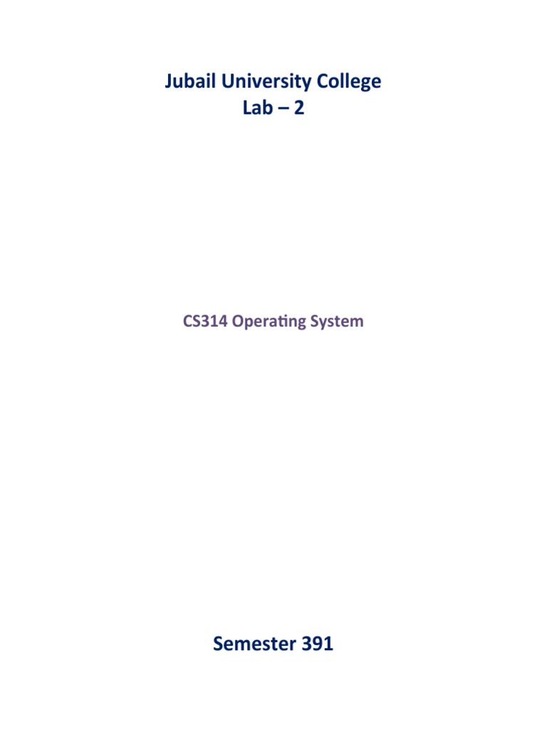CS314 Lab2 | PDF | Command Line Interface | Directory (Computing)