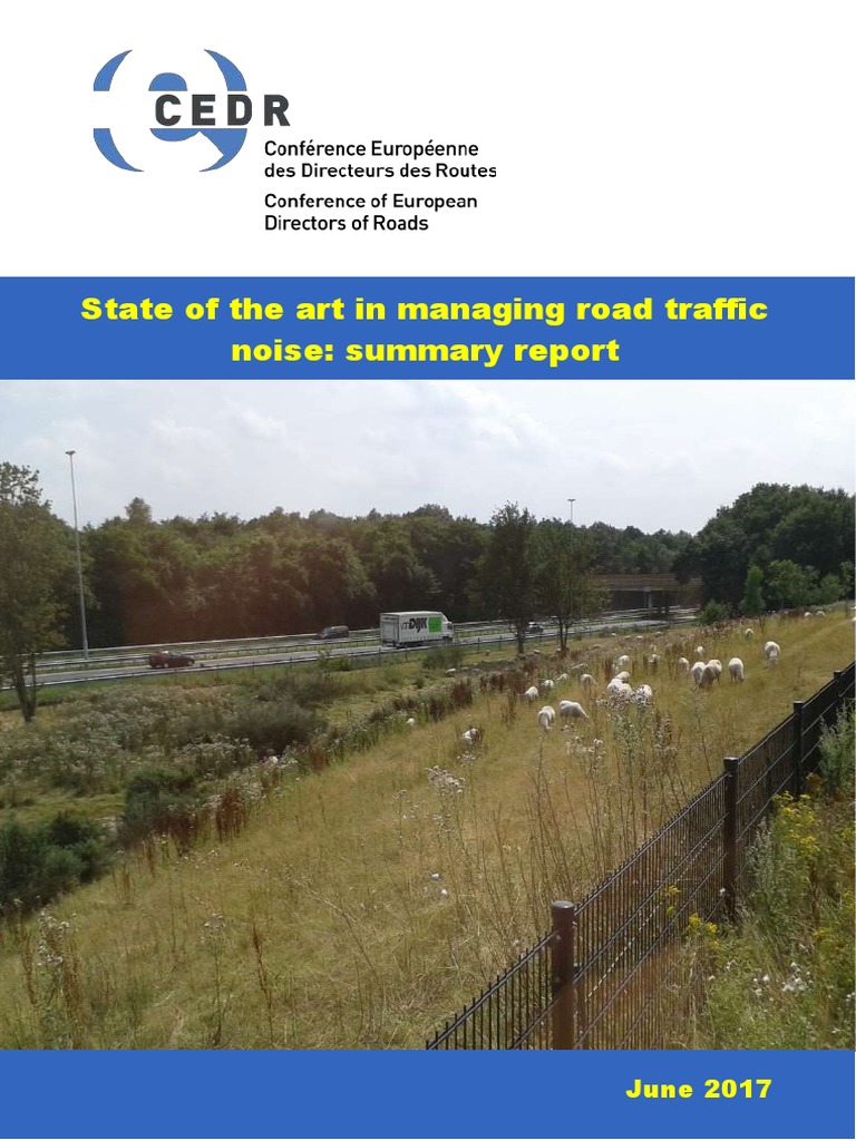 Managing Road Traffic Noise: Summary Report | PDF | Road Surface | Cost ...