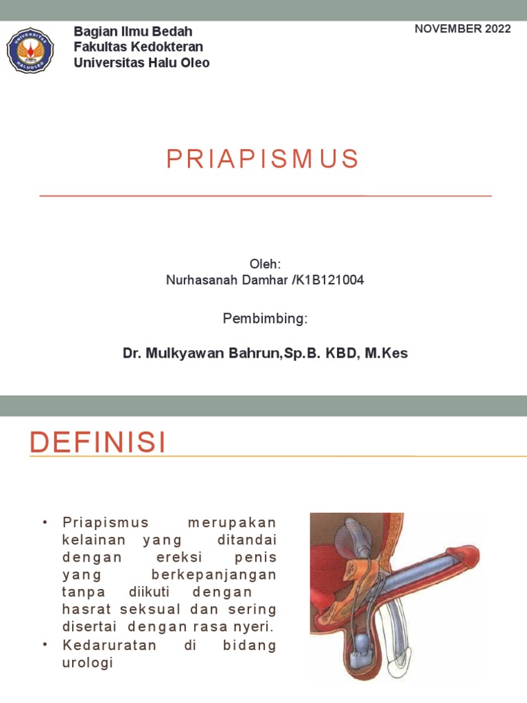 Priapismus 2 | PDF