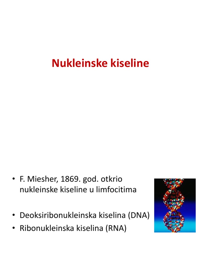 Molekularna osnova nasljeđivanja-Nukleinske kiseline | PDF